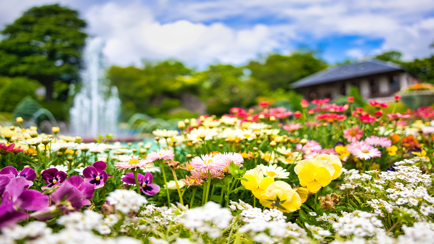 【2025年最新】強羅駅周辺・徒歩圏内で遊べるおすすめ観光スポット13選！ | NEWT（ニュート）